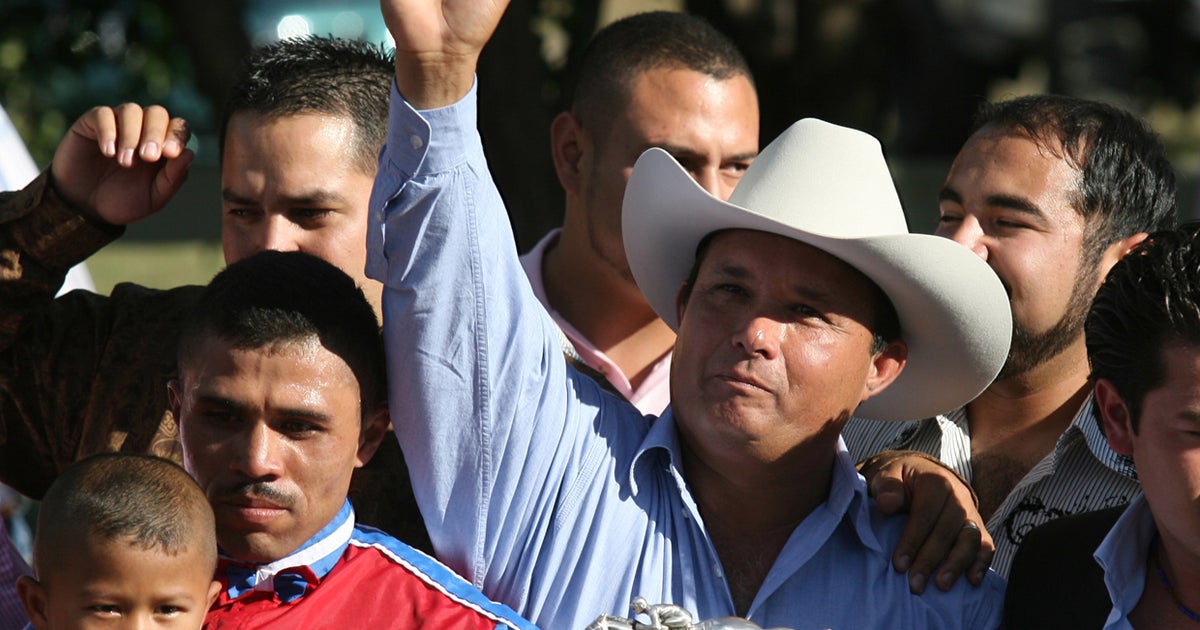 Jose Trevino Morales, Mexican cartel leader's brother, gets 20 years in ...