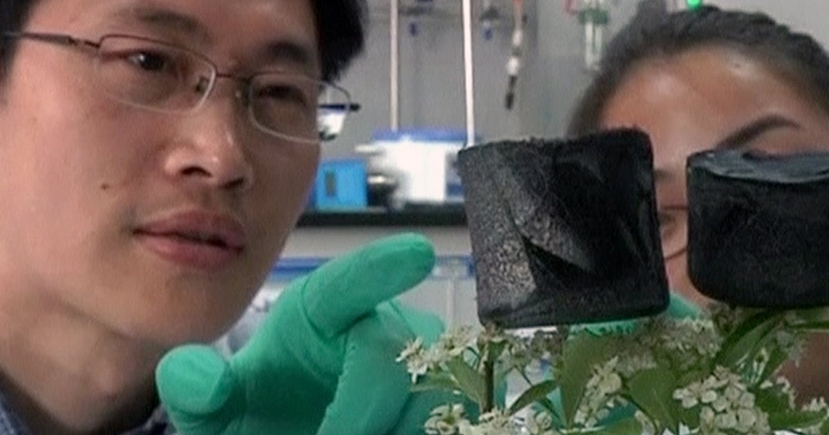 Carbon aerogel, world's lightest material, made by scientists ...