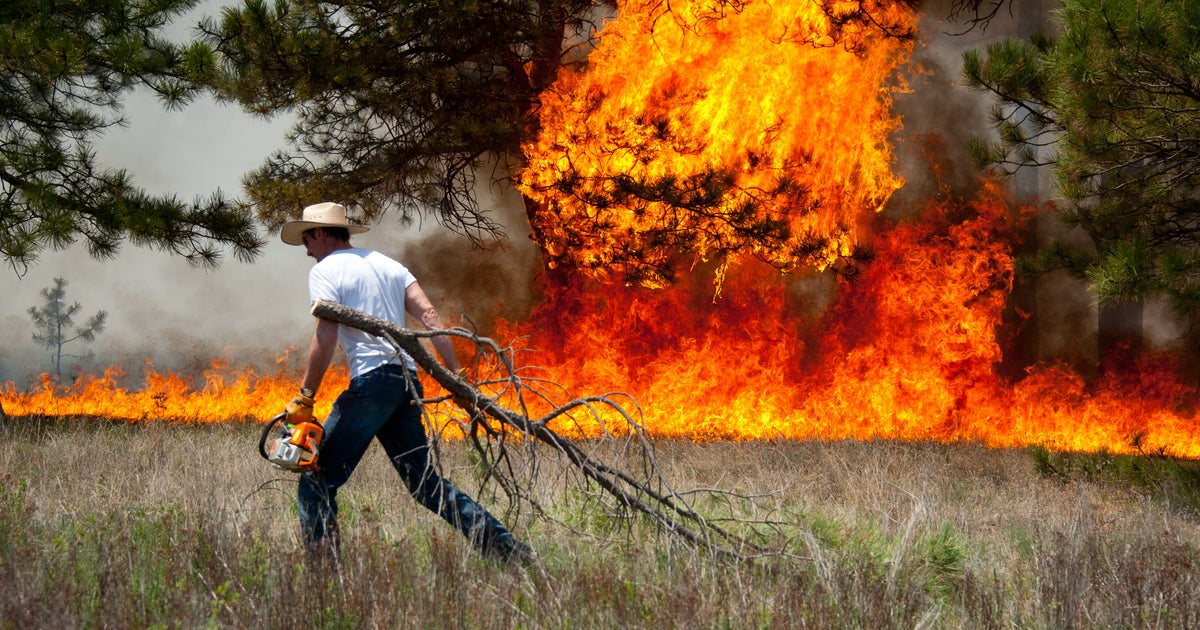 Colo. wildfire arson? How investigators will track down blaze origins ...