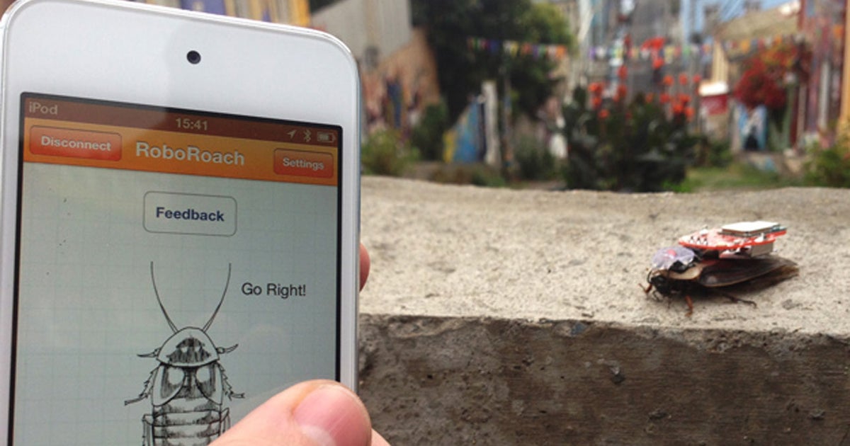 Kickstarter campaign seeks to create cyborg cockroaches - CBS News