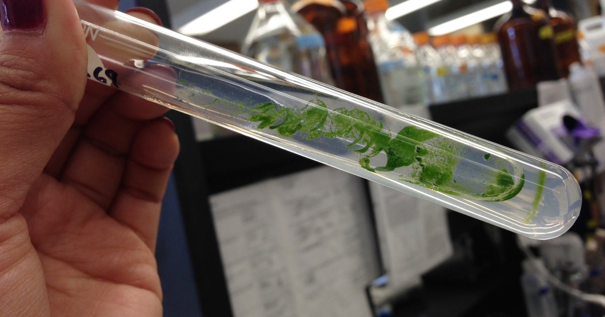 U.S. Geological Survey lab worker faked test results, investigators say ...