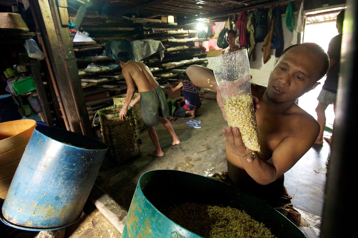 Inside an Indonesian tempeh factory