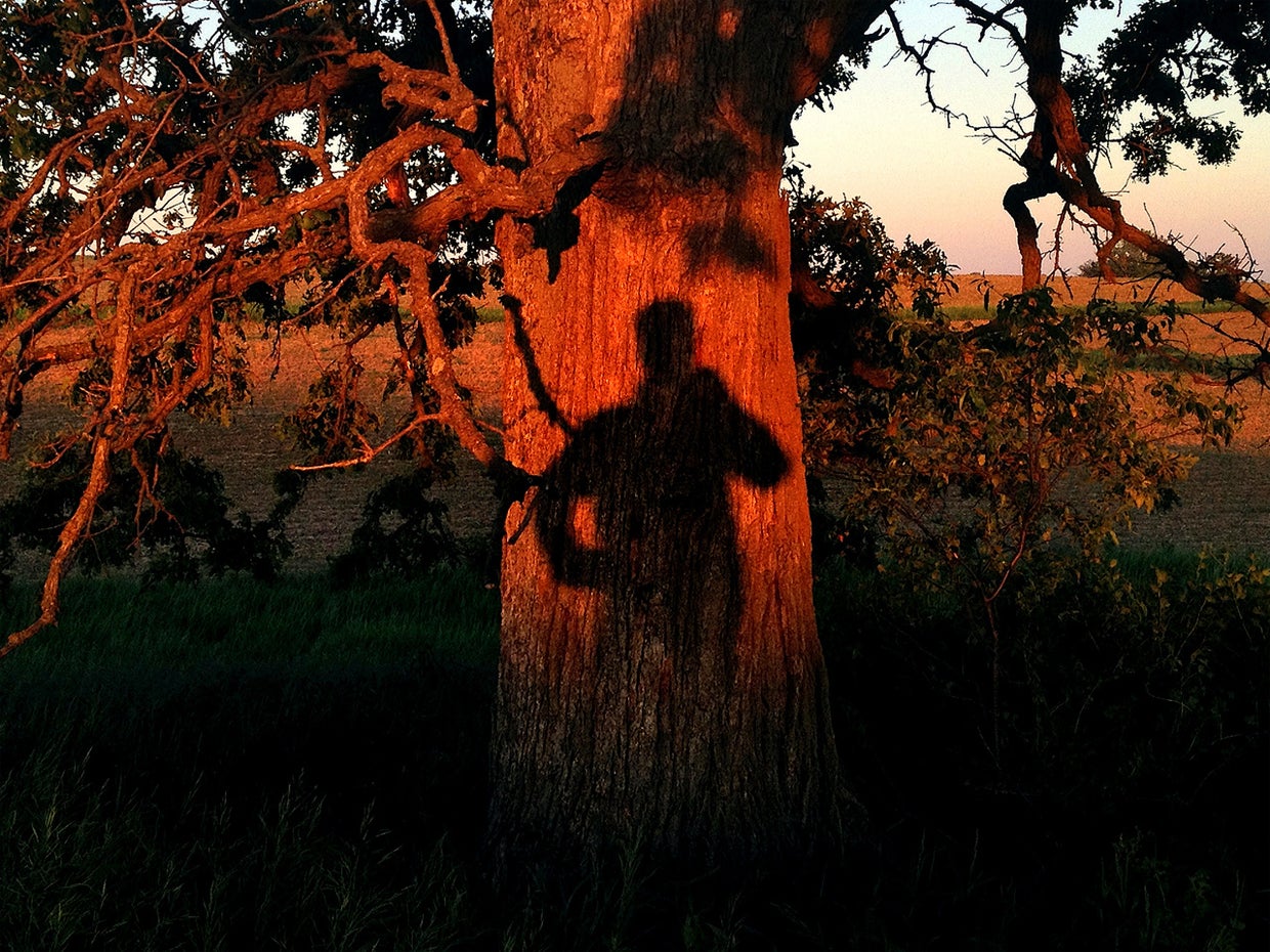 Mark Hirsch photographs "That Tree"