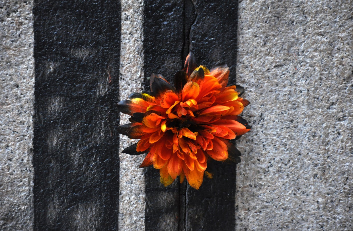 Walmart sells "Destroy Capitalism" Banksy print - CBS News