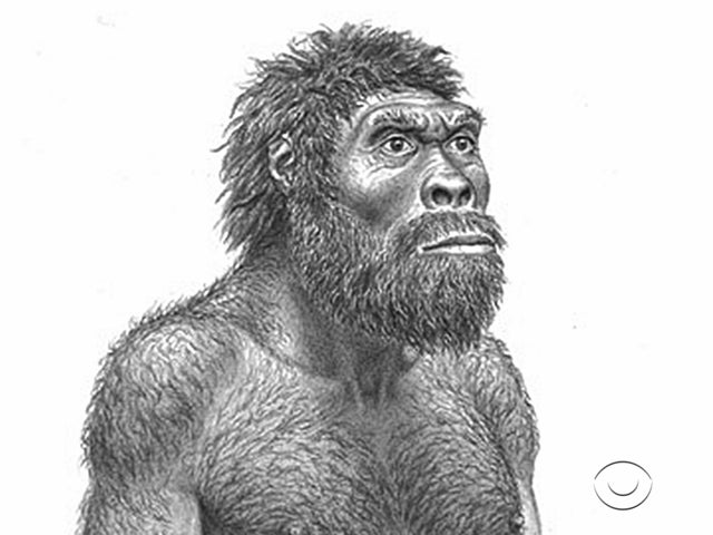 Newly found ancient skull could rewrite human history - CBS News