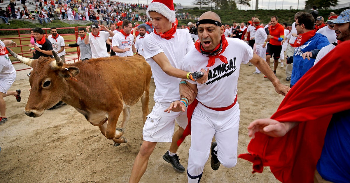 Thrill-seekers run with the bulls – in Georgia