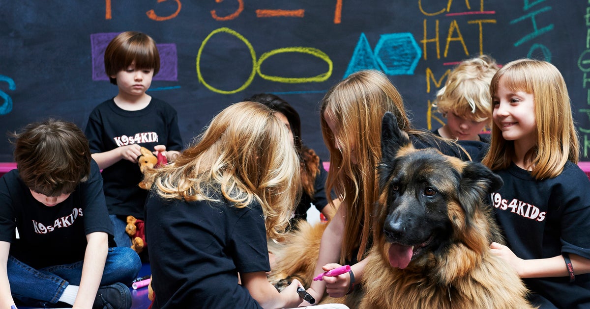 Advocates believe dogs will make schools safer - CBS News
