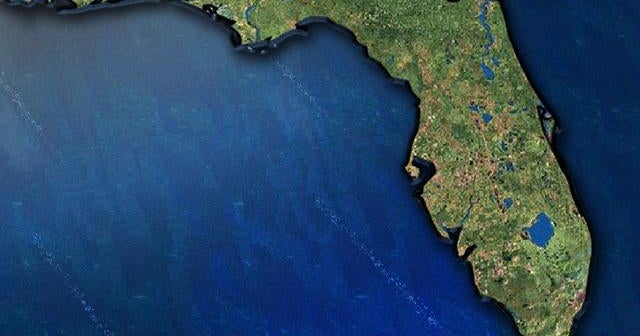 FAA: Fla. pilot says passenger fell into ocean - CBS News