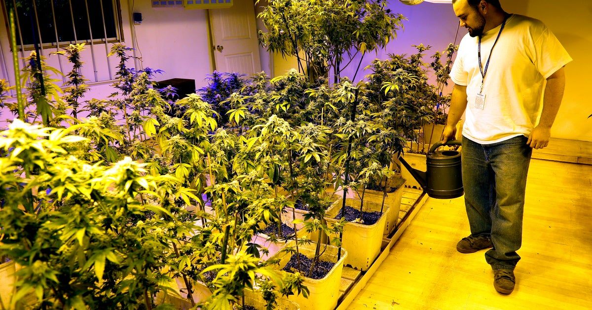 Recreational pot shops open in Colorado