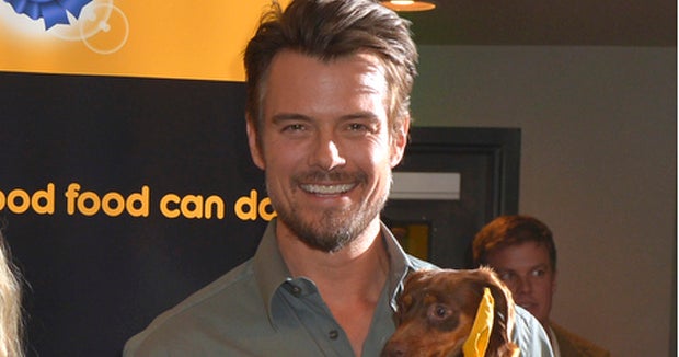 Josh Duhamel the dog lover: Why he's at Sundance - CBS News