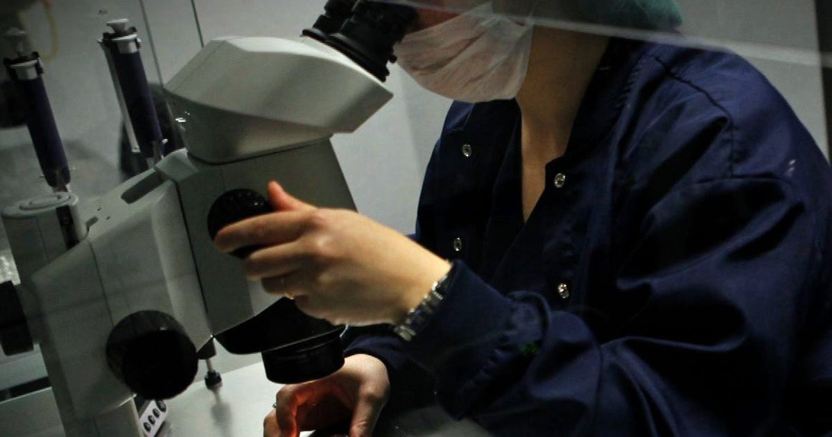 "Designer babies" on the way? In China, scientists attempt to unravel ...