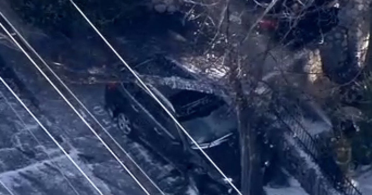 Two drivers stung hundreds of times by swarming bees after accident ...