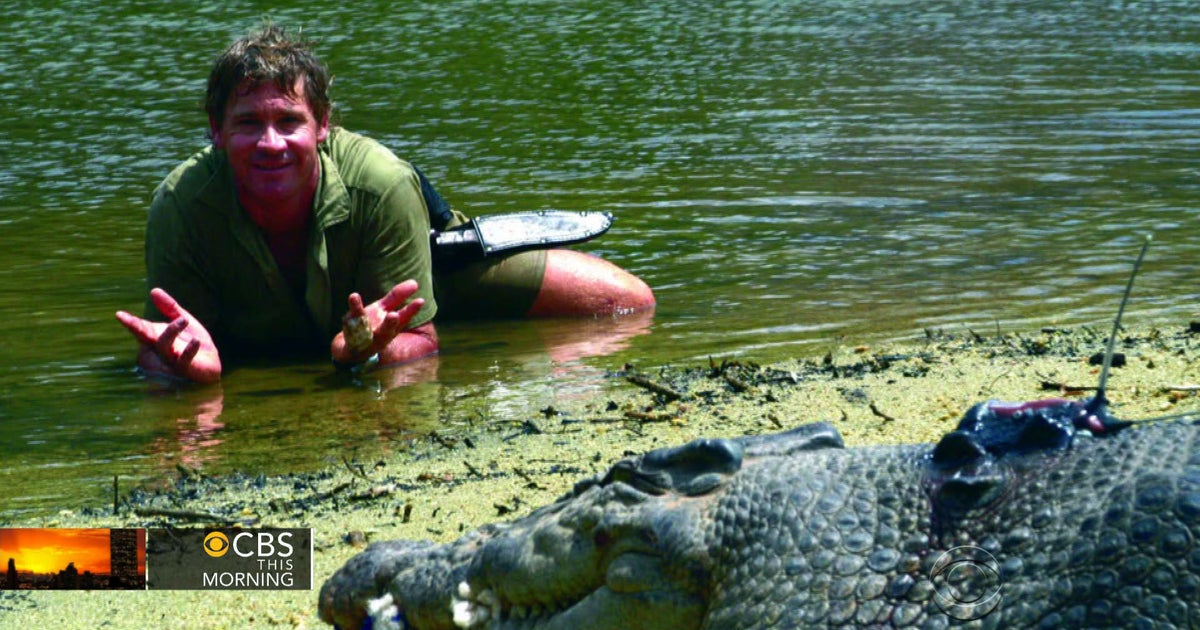 Photographer Justin Lyons on "Crocodile Hunter" Steve Irwin's last ...