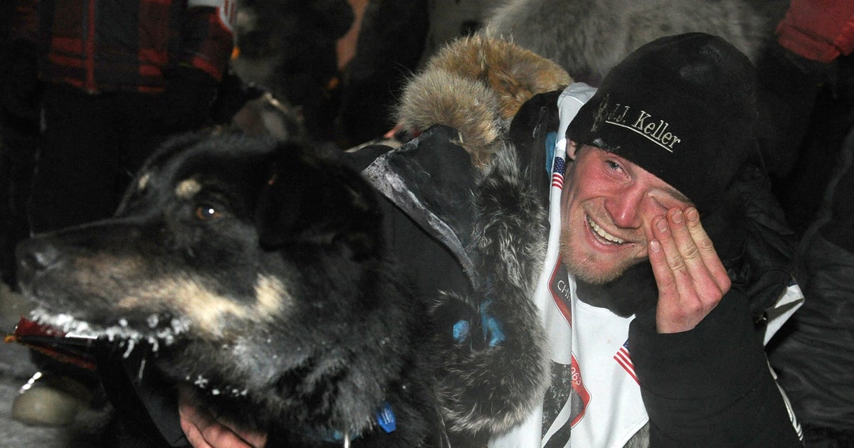 Officials identify musher in dog doping case, but he denies the claim ...