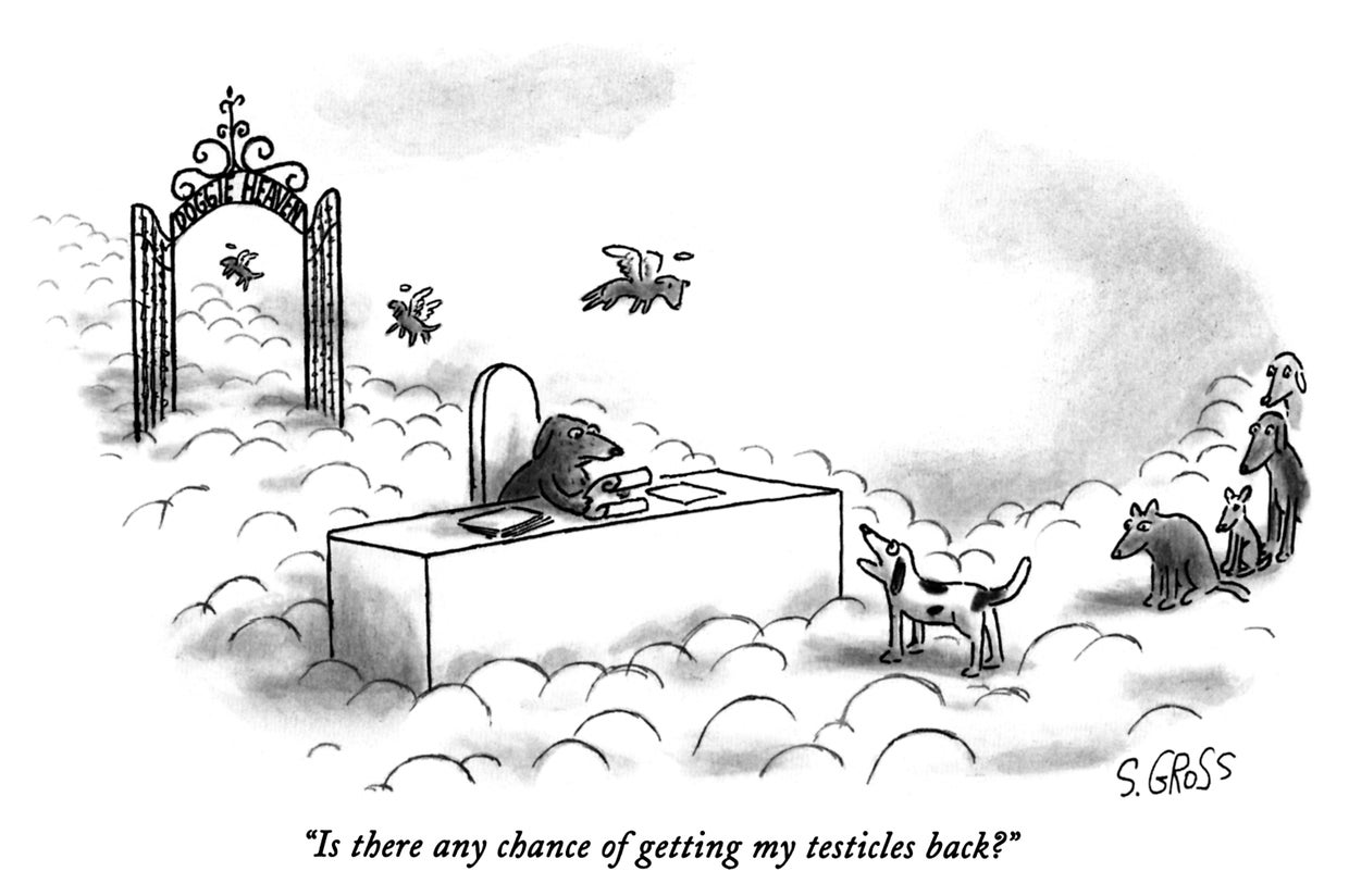 Our favorite New Yorker cartoons