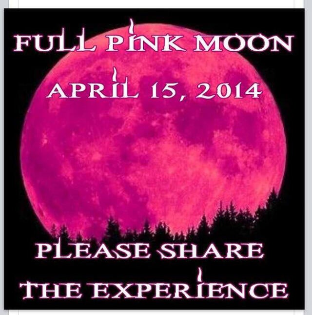 pink lunar eclipse