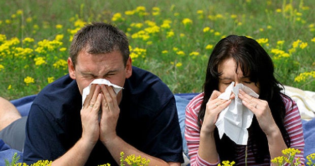 How to survive the seasonal allergy explosion - CBS News