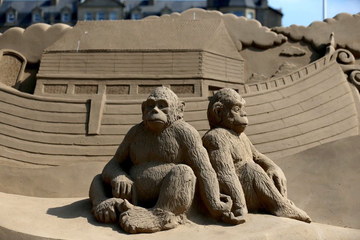 Fantasy sand sculptures
