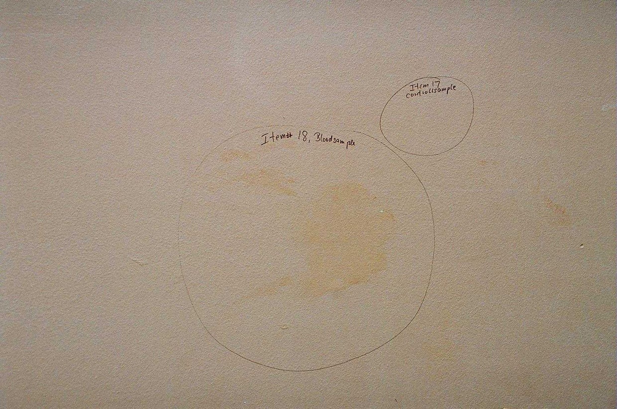 Amy Weidner cold case: A family's quest for justice in 1989 murder of ...