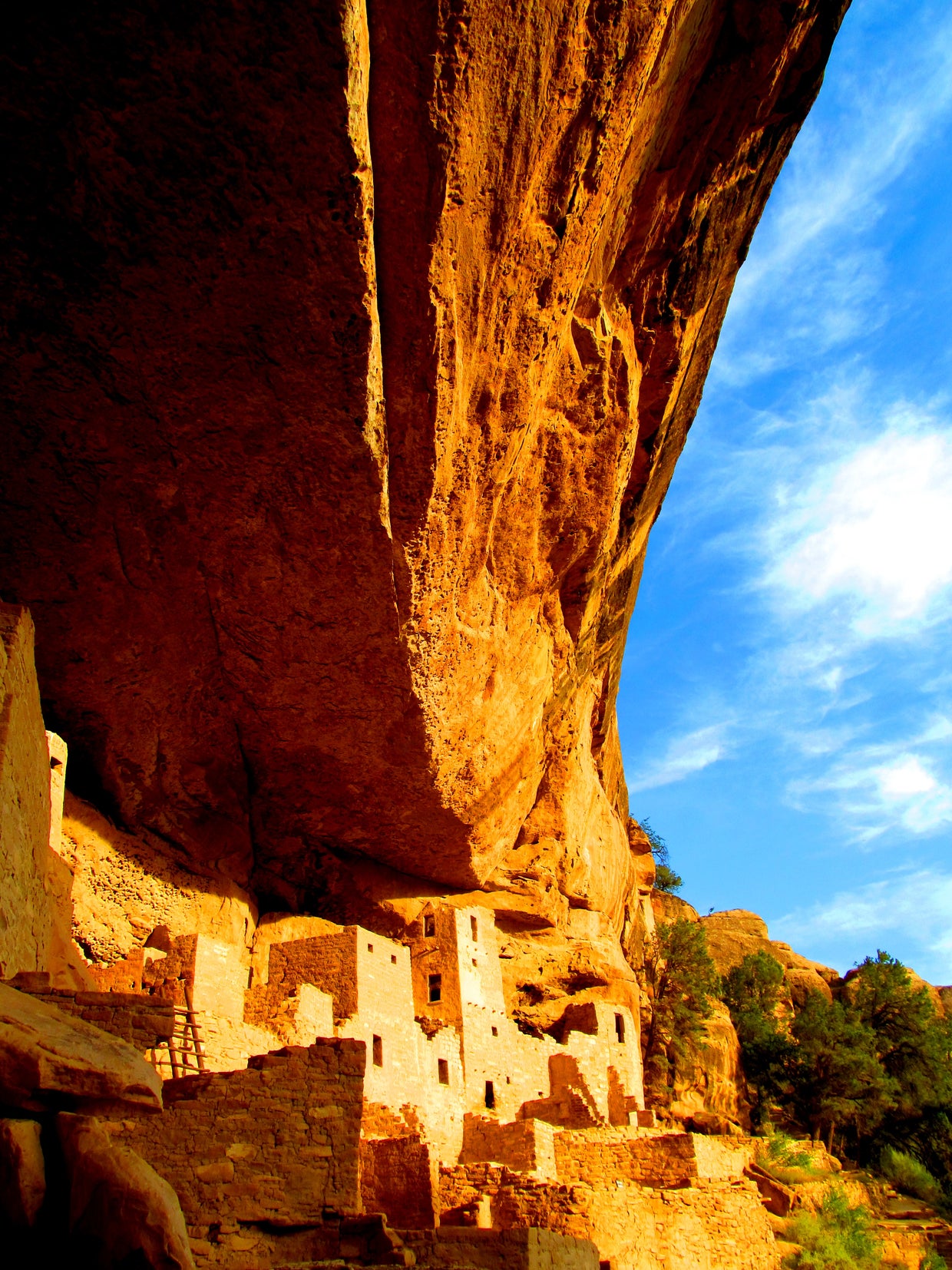 Share the Experience: Winner of the National Park Foundation's photo ...