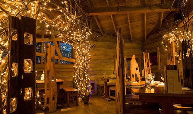 Alnwick Castle Tree House