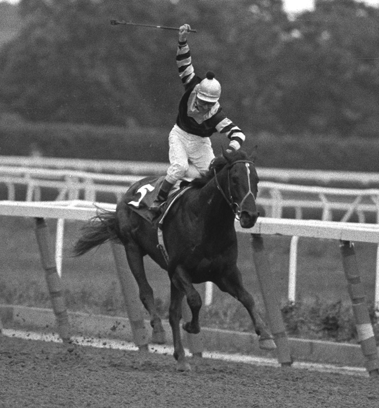 Horse racing's Triple Crown winners