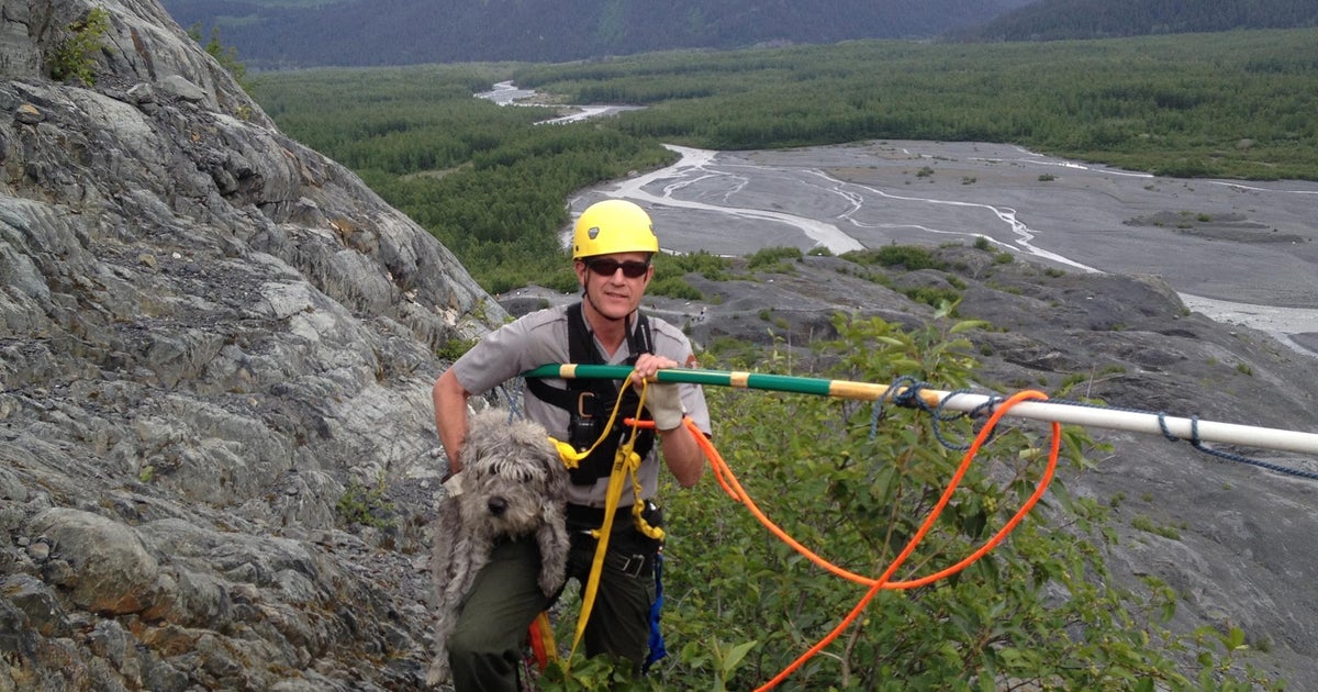 Alaska ranger plucks dog from cliff near glacier - CBS News