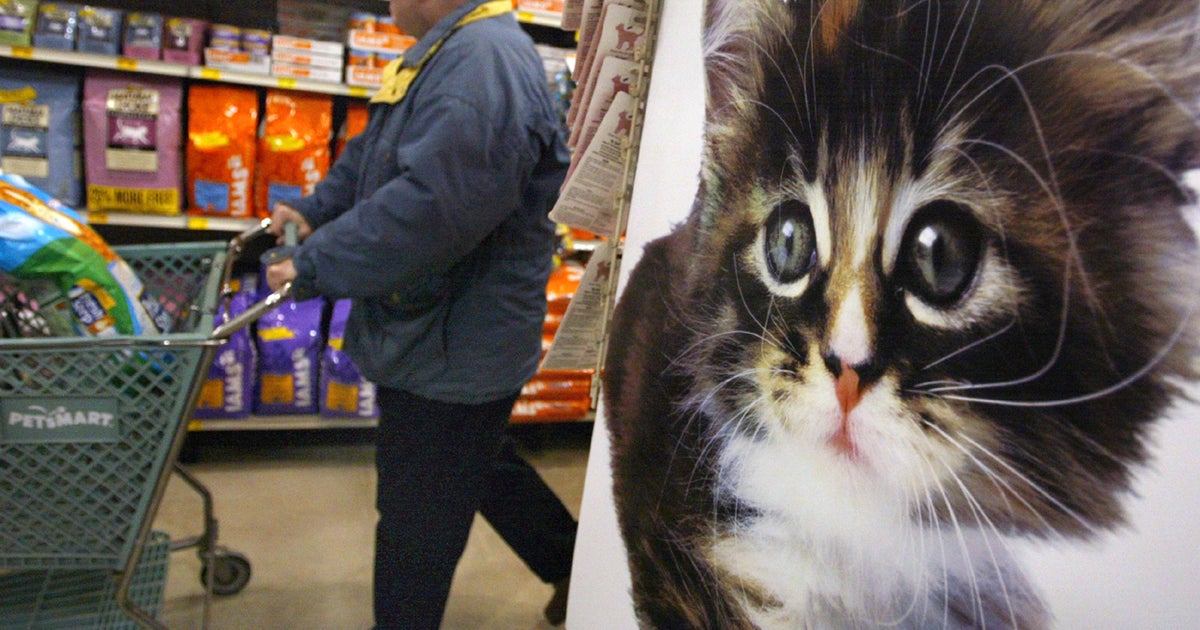 PetSmart rolls out playlists for pets and owners - CBS News