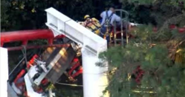 Roller coaster hits tree, strands riders 20 feet in air for hours at ...