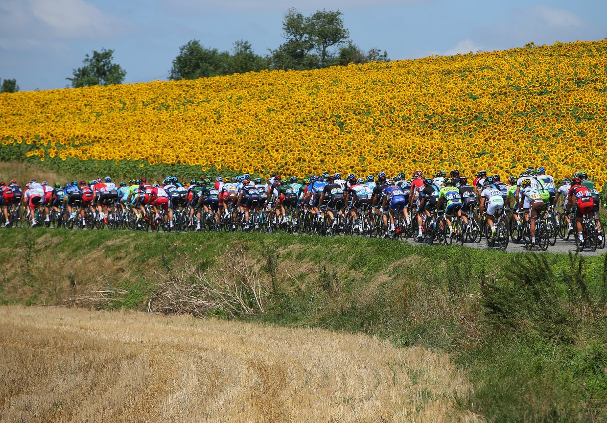 Tour de France scenery