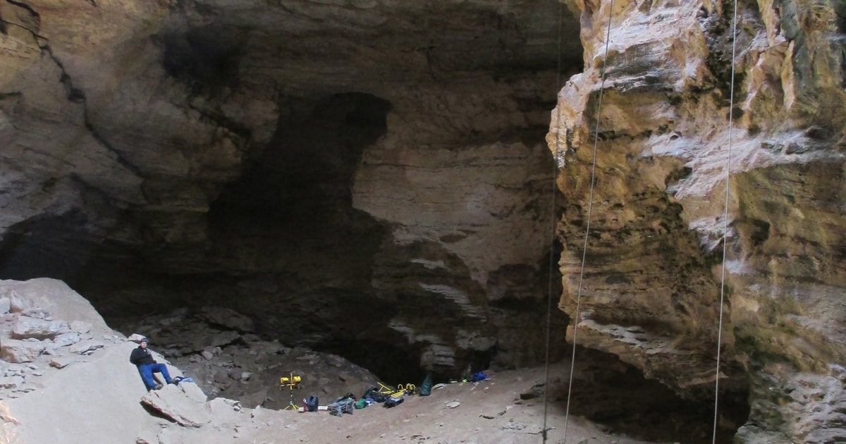 Incredible trove of ancient bones unearthed in Wyoming's Natural Trap ...