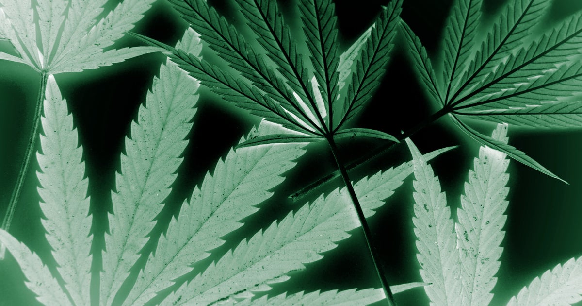Marijuana legalization, medical marijuana, and marijuana facts news