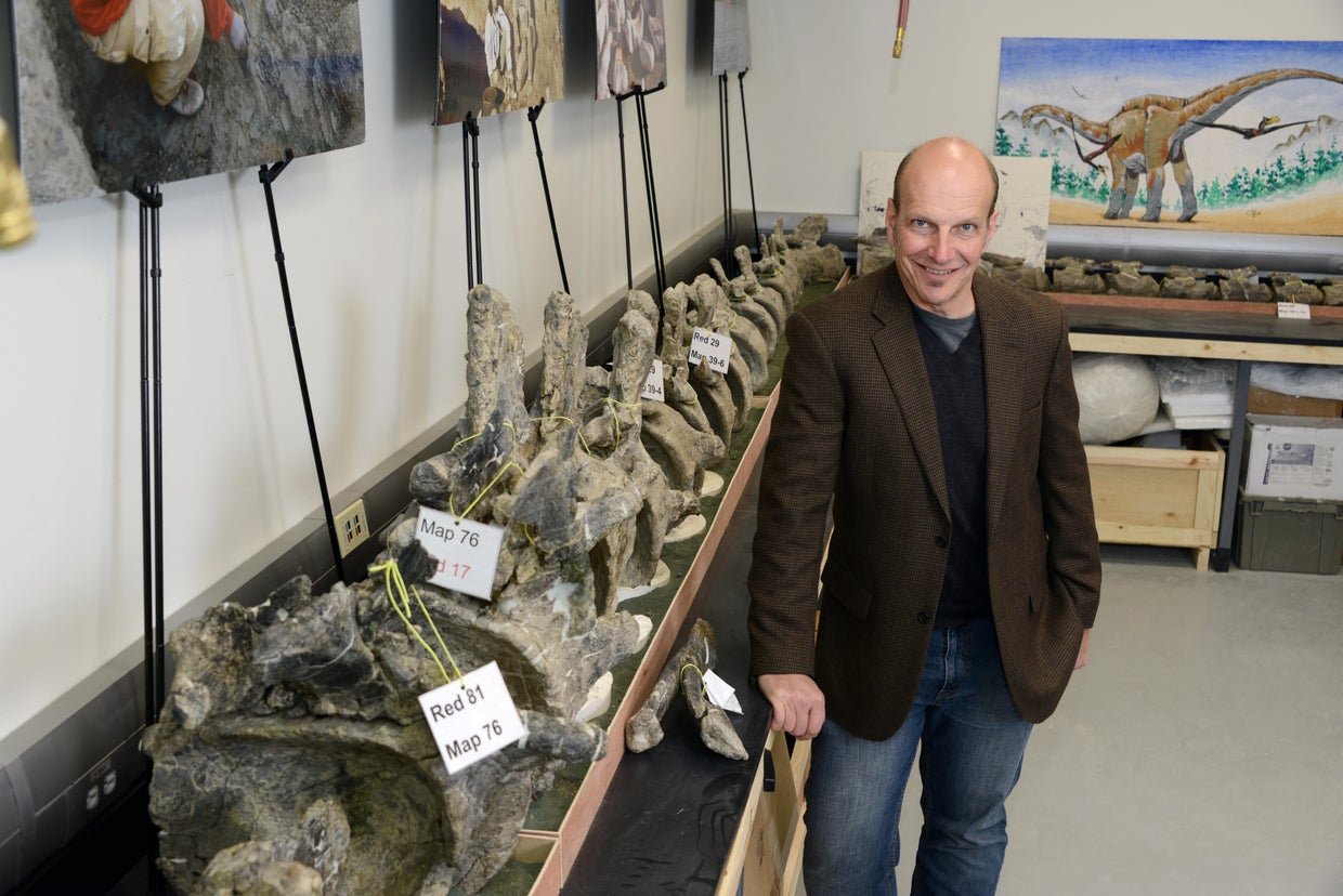 Massive dinosaur skeleton, Dreadnoughtus schrani, unearthed in ...