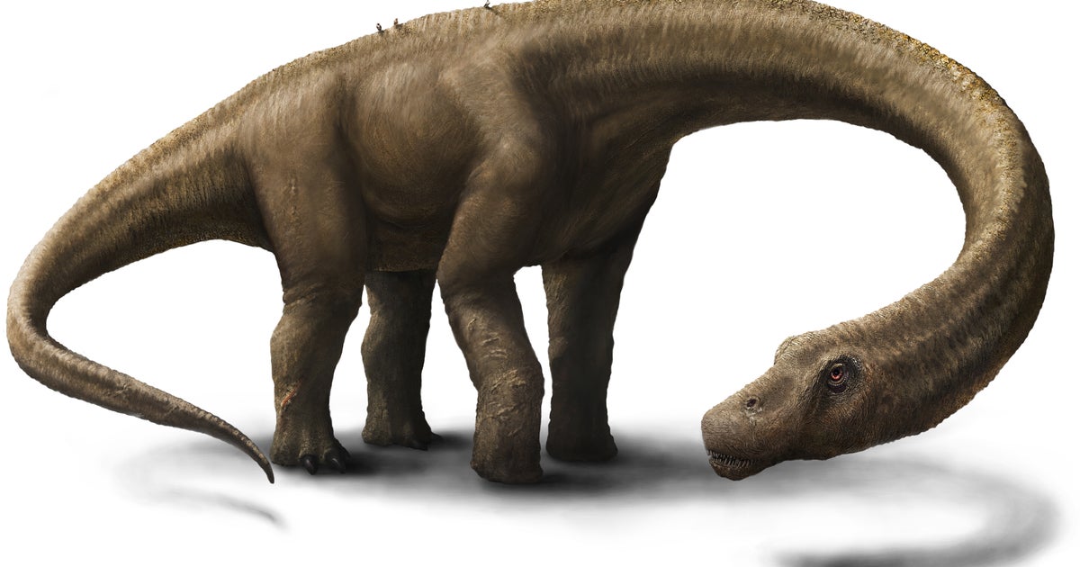 Photos: Huge dinosaur skeleton unearthed