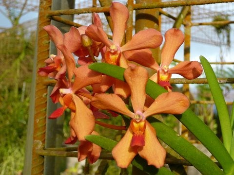 John and Ann Bender's life in paradise