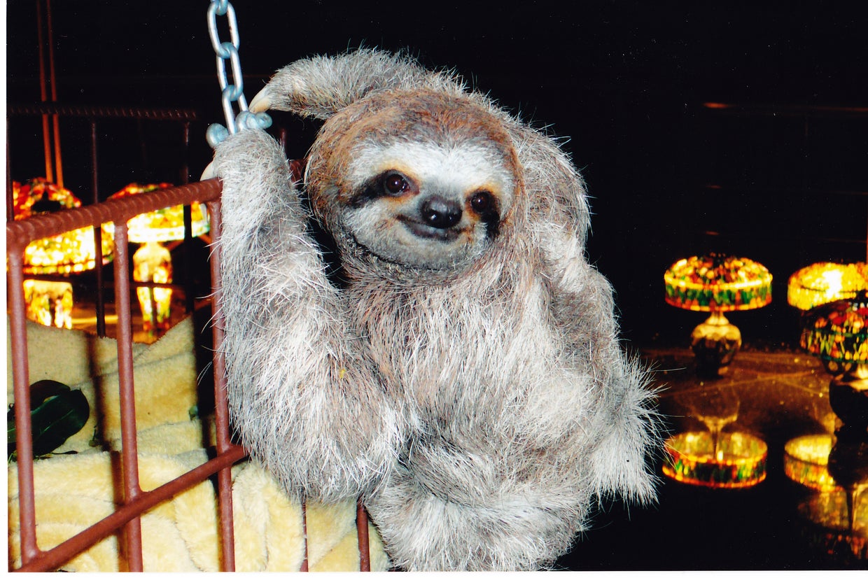 John and Ann Bender's life in paradise