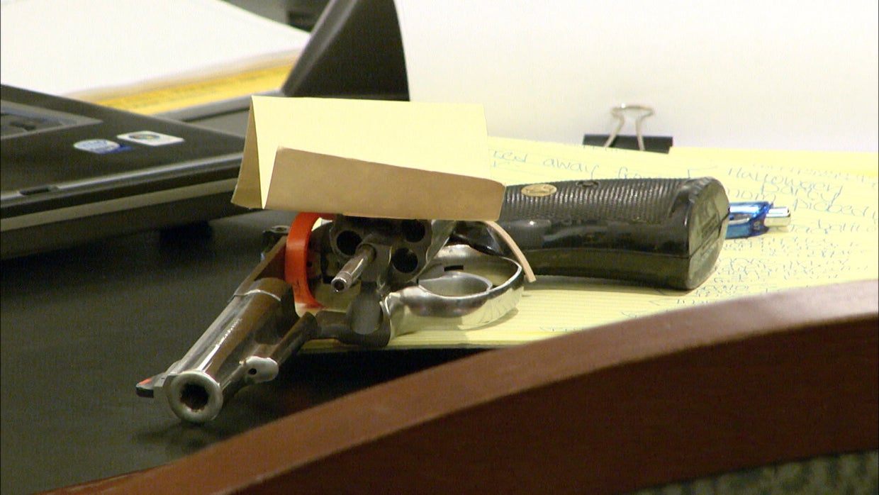 One gun, two crimes? The trials of Linda Cooney