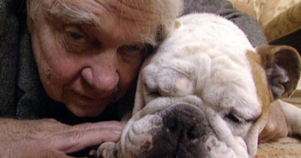 Andy Rooney's love for dogs - CBS News