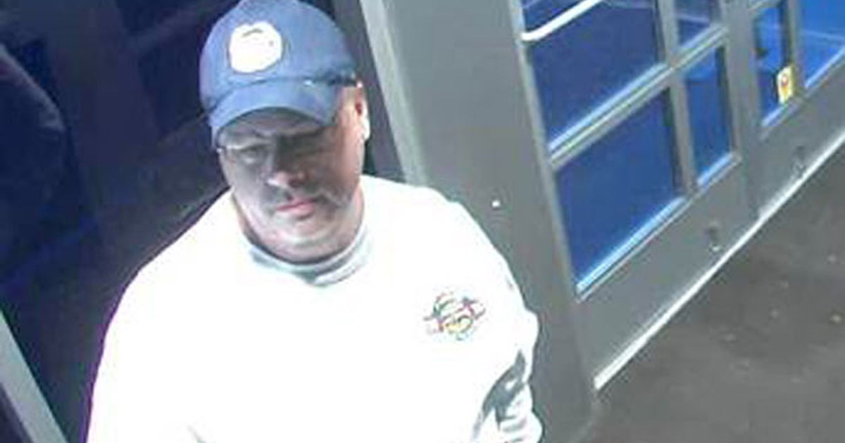 No bail for Matthew McAveeney, Massachusetts man charged with killing ...