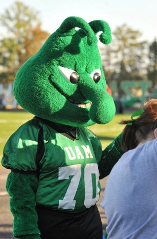 Lovable (and lovably bizarre) college sports mascots