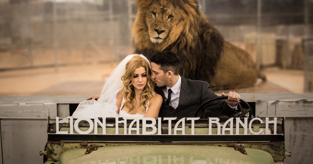 Exotic animals becoming new must-have at weddings - CBS News
