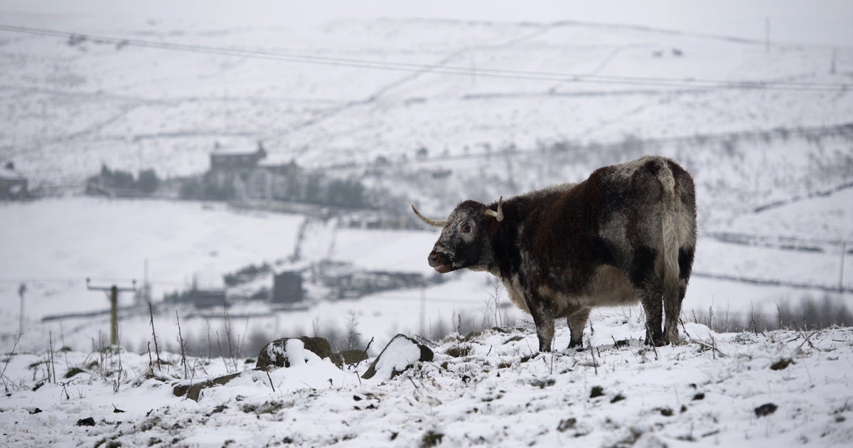 First snowfall in Britain