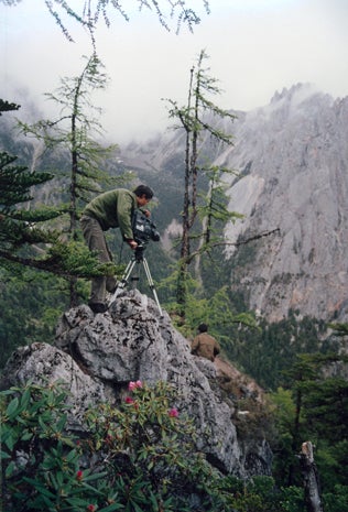 China's rare snub-nosed monkeys