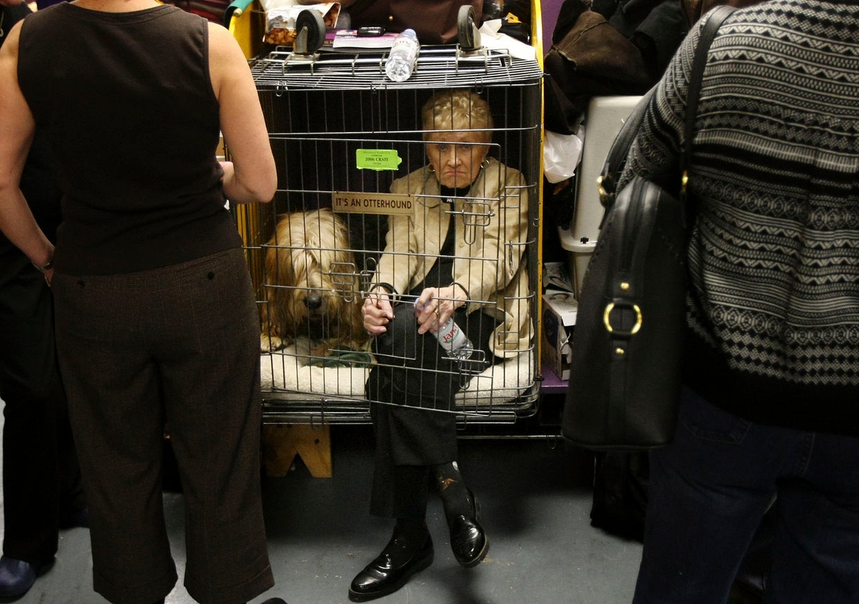 22 Disappearing Dog Breeds