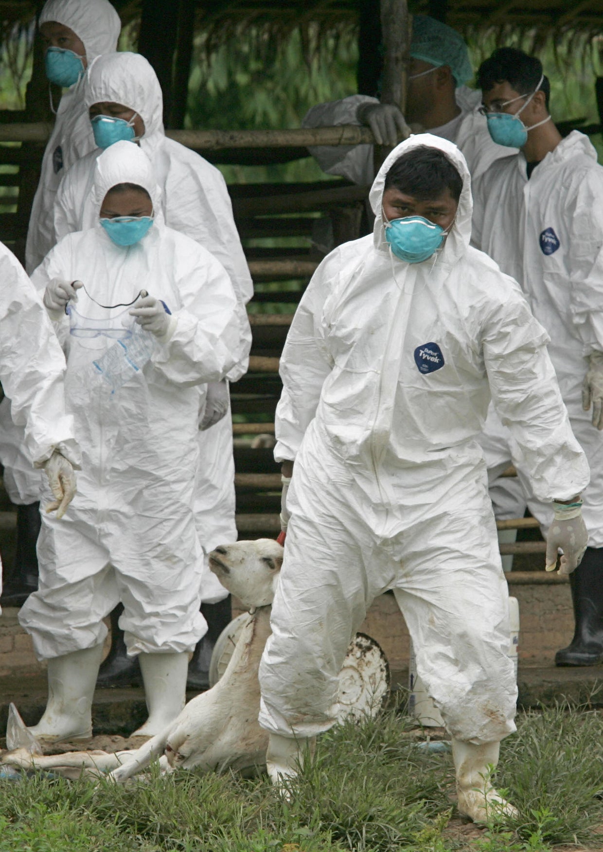 15 superbugs and other scary diseases