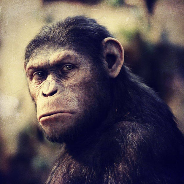 The visual effects debate at the 1977 Oscars - CBS News