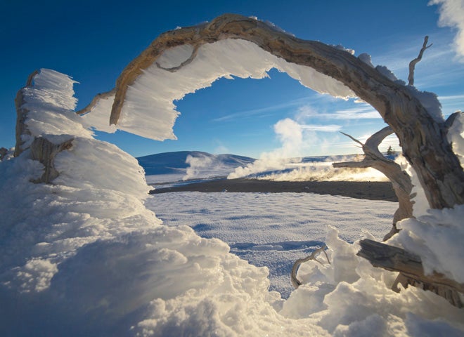 Winter in Yellowstone