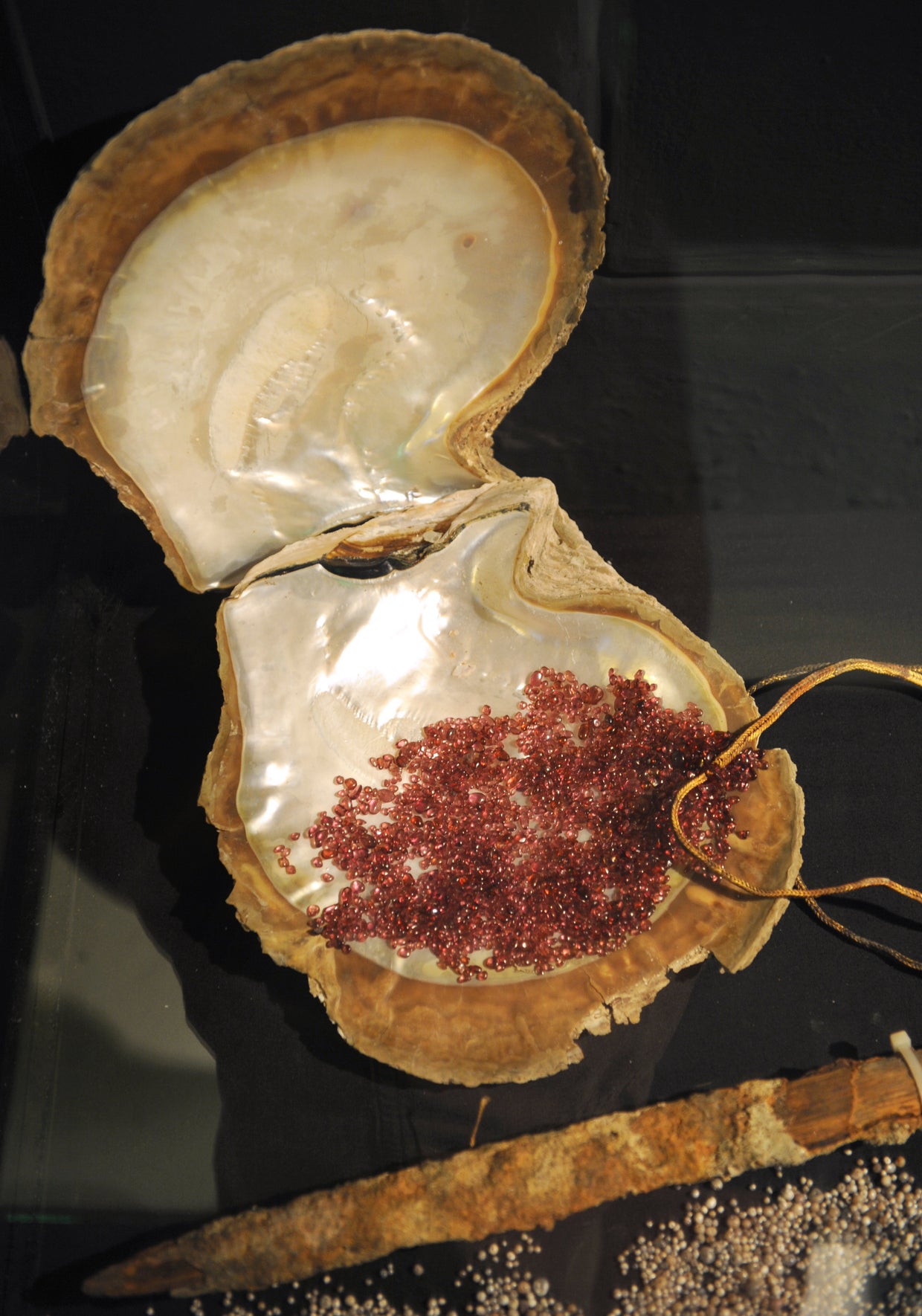 The fascinating treasures uncovered in shipwrecks