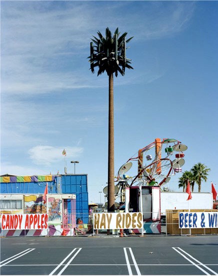 Photographer Robert Voit's "New Trees" are really cell phone towers