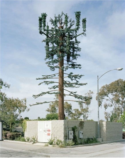 Photographer Robert Voit's "New Trees" are really cell phone towers